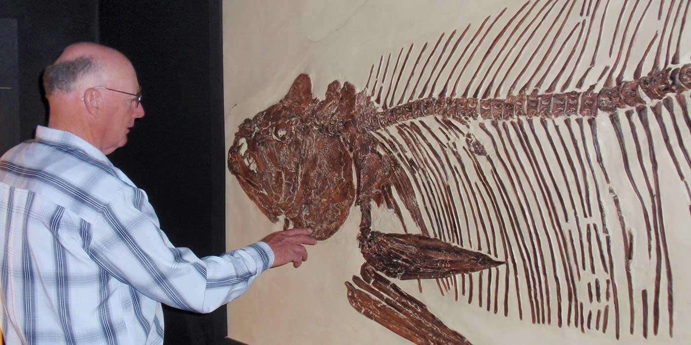 Local Attractions - Parkes Elvis Festival